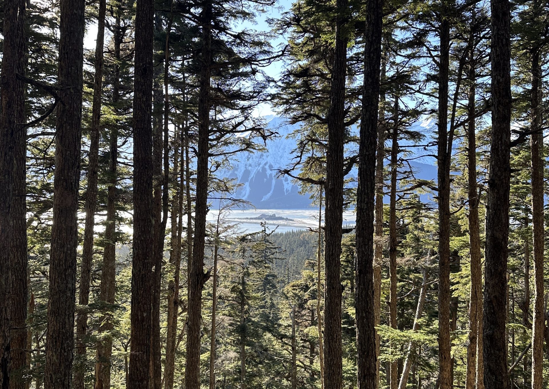 Lily Lake Story Trail - Haines Huts and Trails